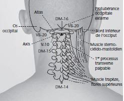 Blog Le Souffle du Menhir: VG 16 Feng Fu / Fēng Fŭ 風府 « Palais du Vent
