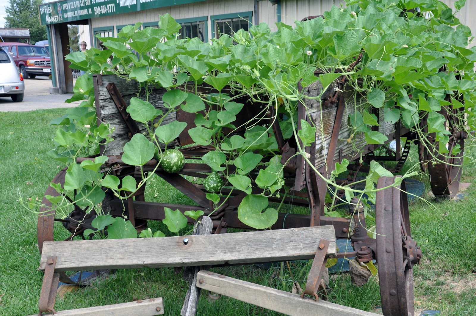 The Schmidt House: Route 11 Yard Crawl