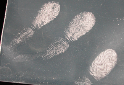 Forensics: Forensic Project Part I: Fingerprinting