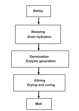 PROCESSING OF FOOD: Process of malting