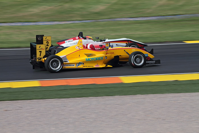 BICHOS Y MAS VLC: FORMULA 3, VALENCIA 2012