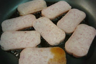 Shreds: The Glory Of Spam, A "How To"