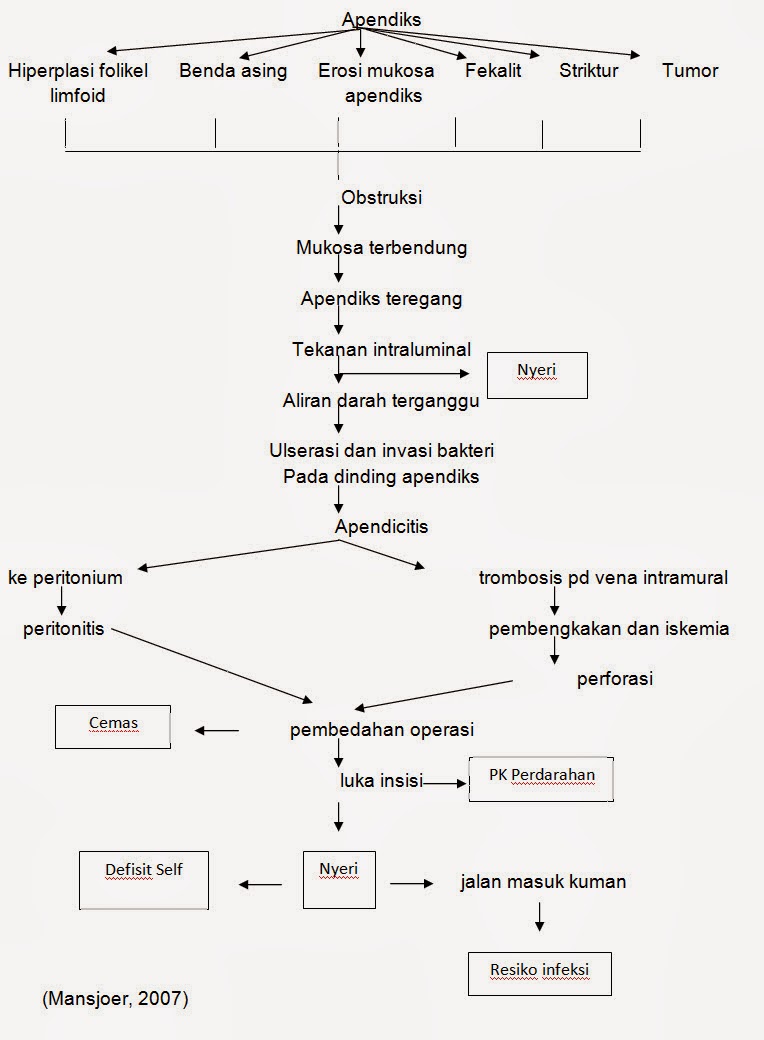 LAPORAN PENDAHULUAN : APENDISITIS | Nurse Fadhil