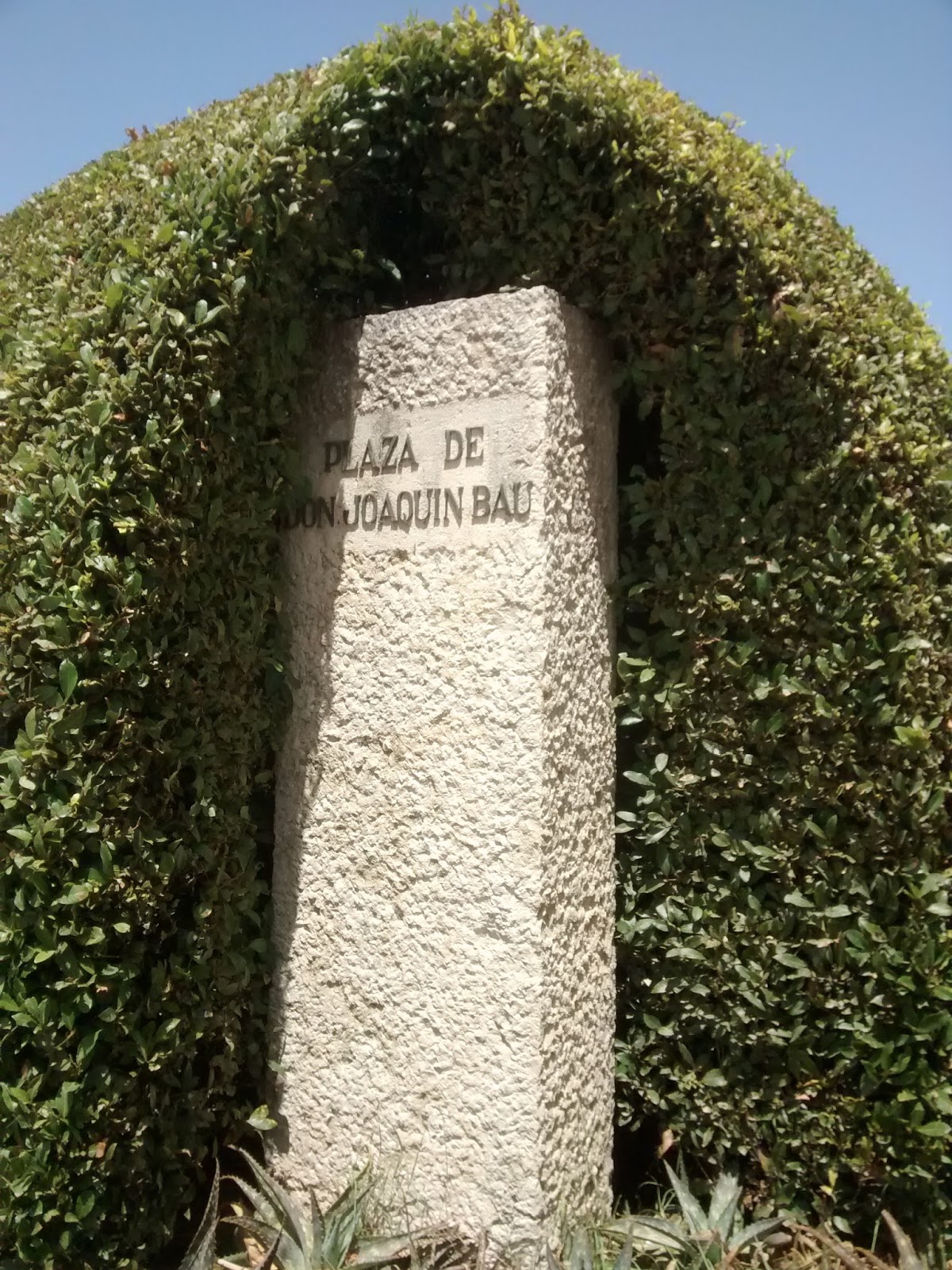 LA VIA AUGUSTA : XAVIER DALMAU MATISA