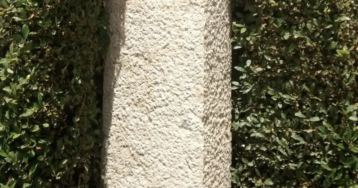 LA VIA AUGUSTA : XAVIER DALMAU MATISA