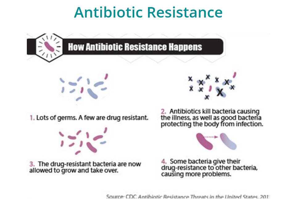 ‘Keep the cell wall shut’ model to fight bacterial infection - Seeker's ...
