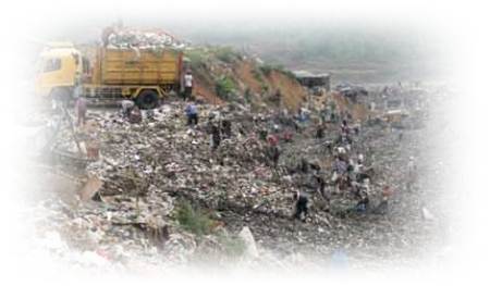 Pengelompokan Berdasarkan Wujud ~ The World of Science