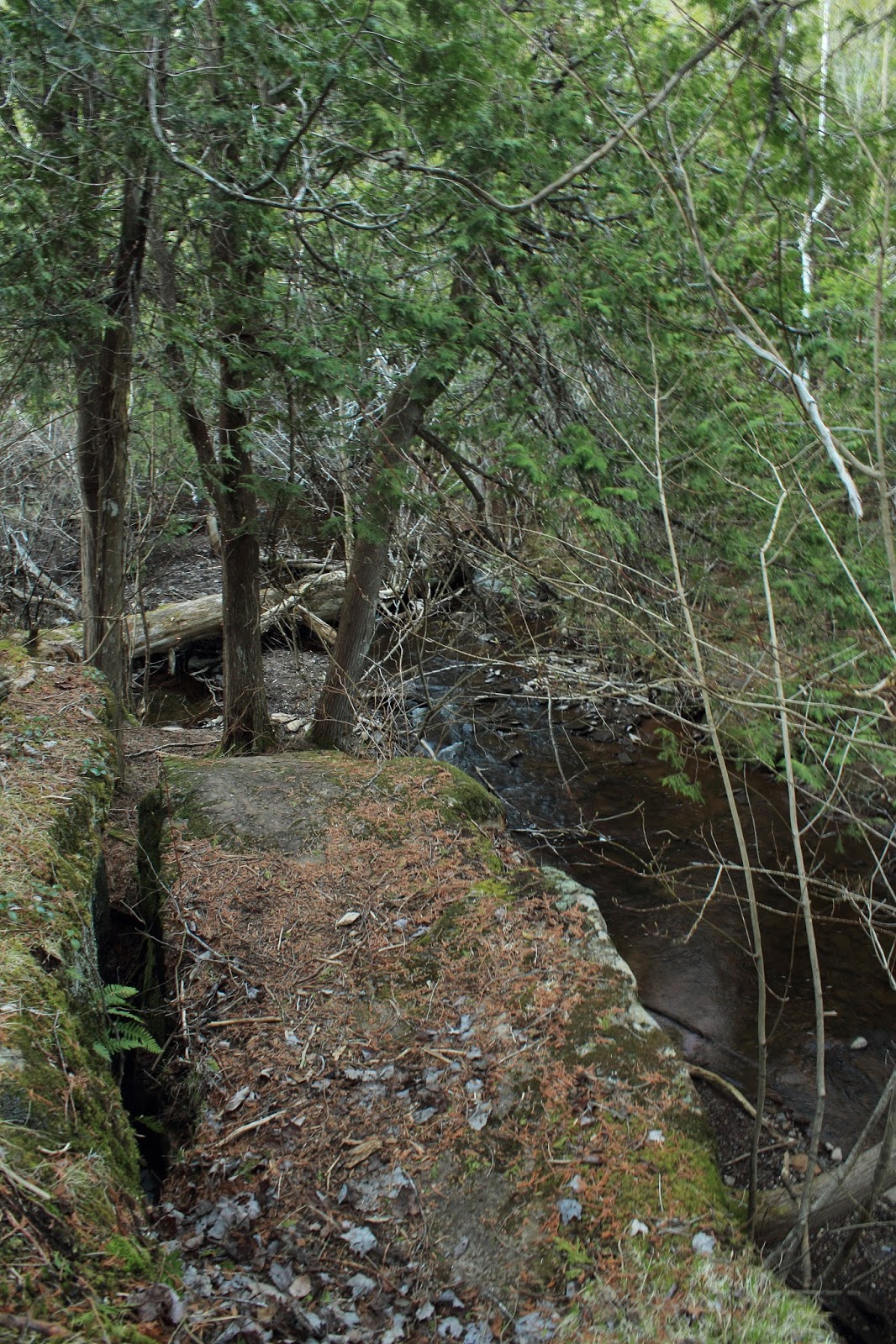 Waterfalls and More: Corbett Brook Falls