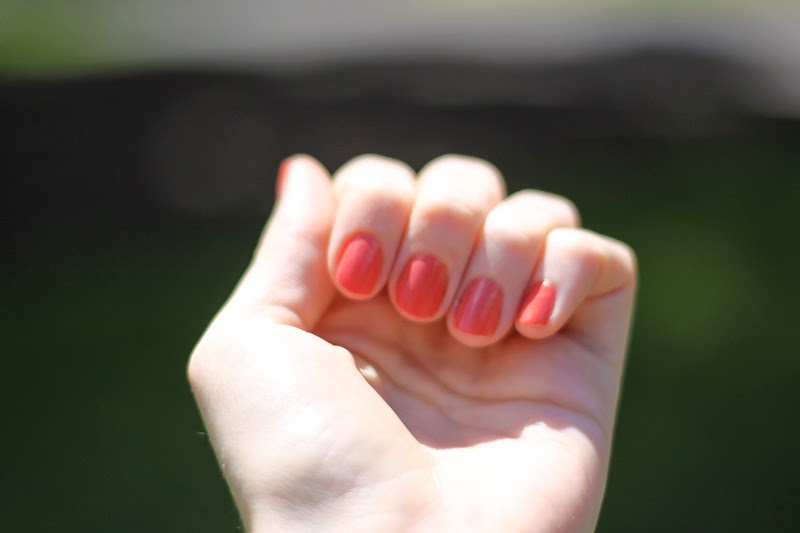 Miss Directions: Umbrellas in the Sunshine