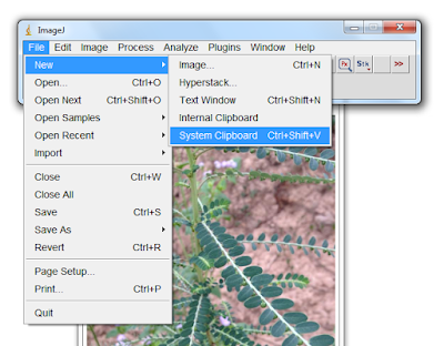 My imageJ: การคัดเลือกการแสดงผลสำหรับ ImageJ (Customizing the ImageJ ...