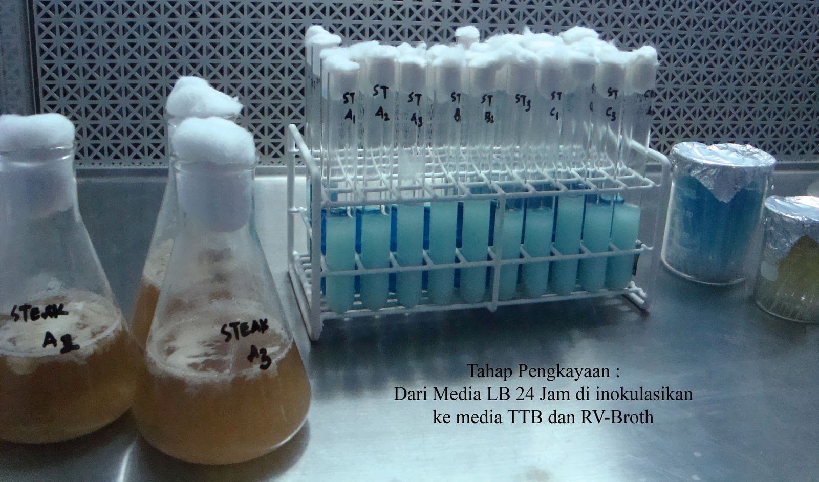 My World Fisheries: Tahap-Tahap Uji Salmonella (SNI-01-2332.2-2006)