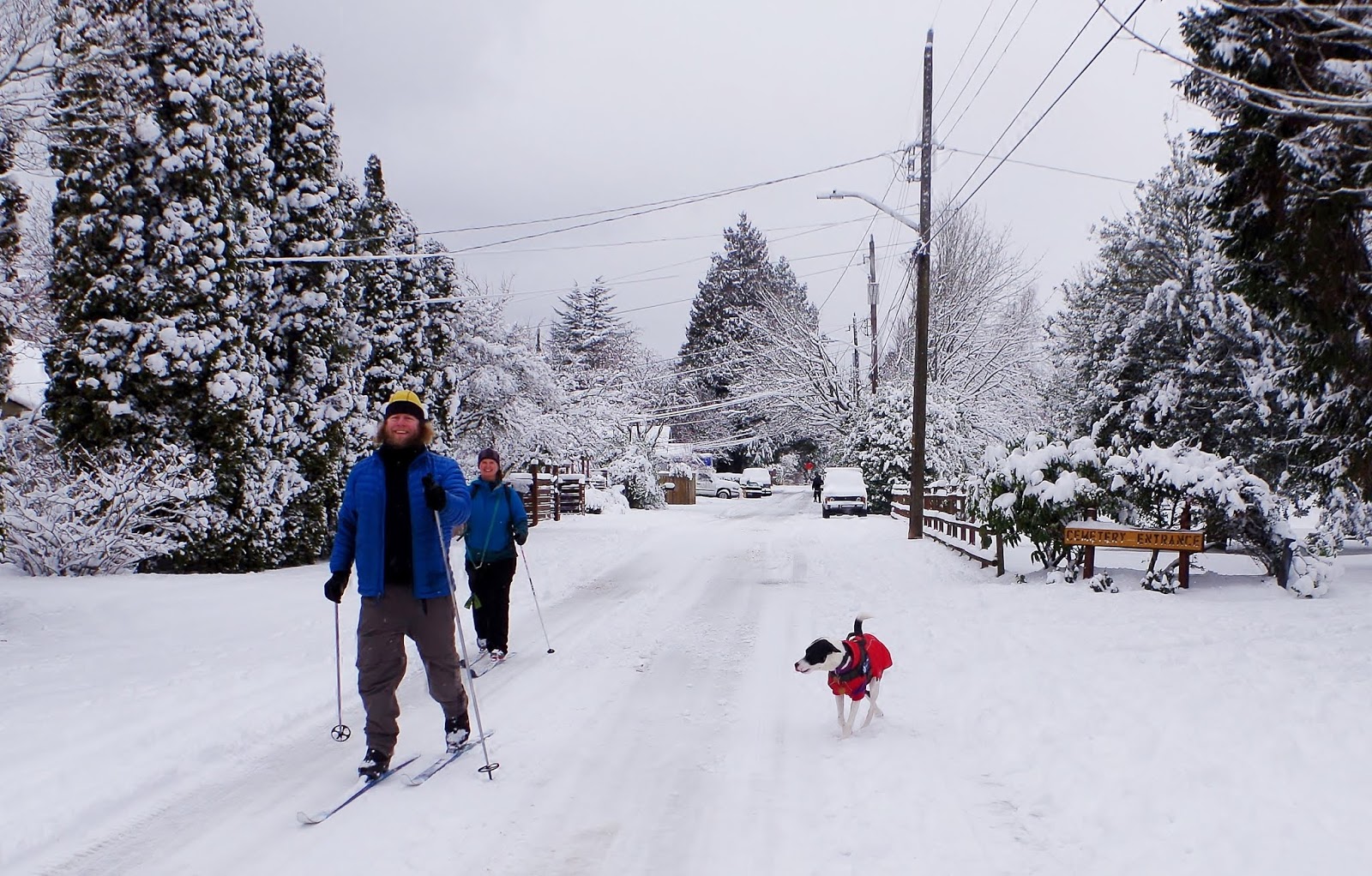 Pacific Northwest Seasons: Seattle Snowmageddon 2019