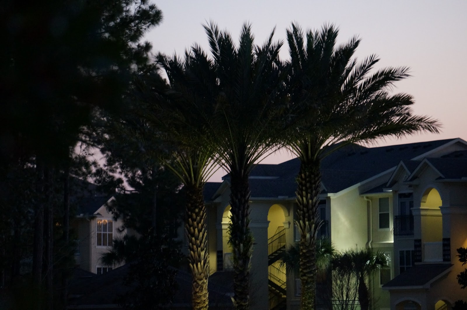 Robbin Neff Photography