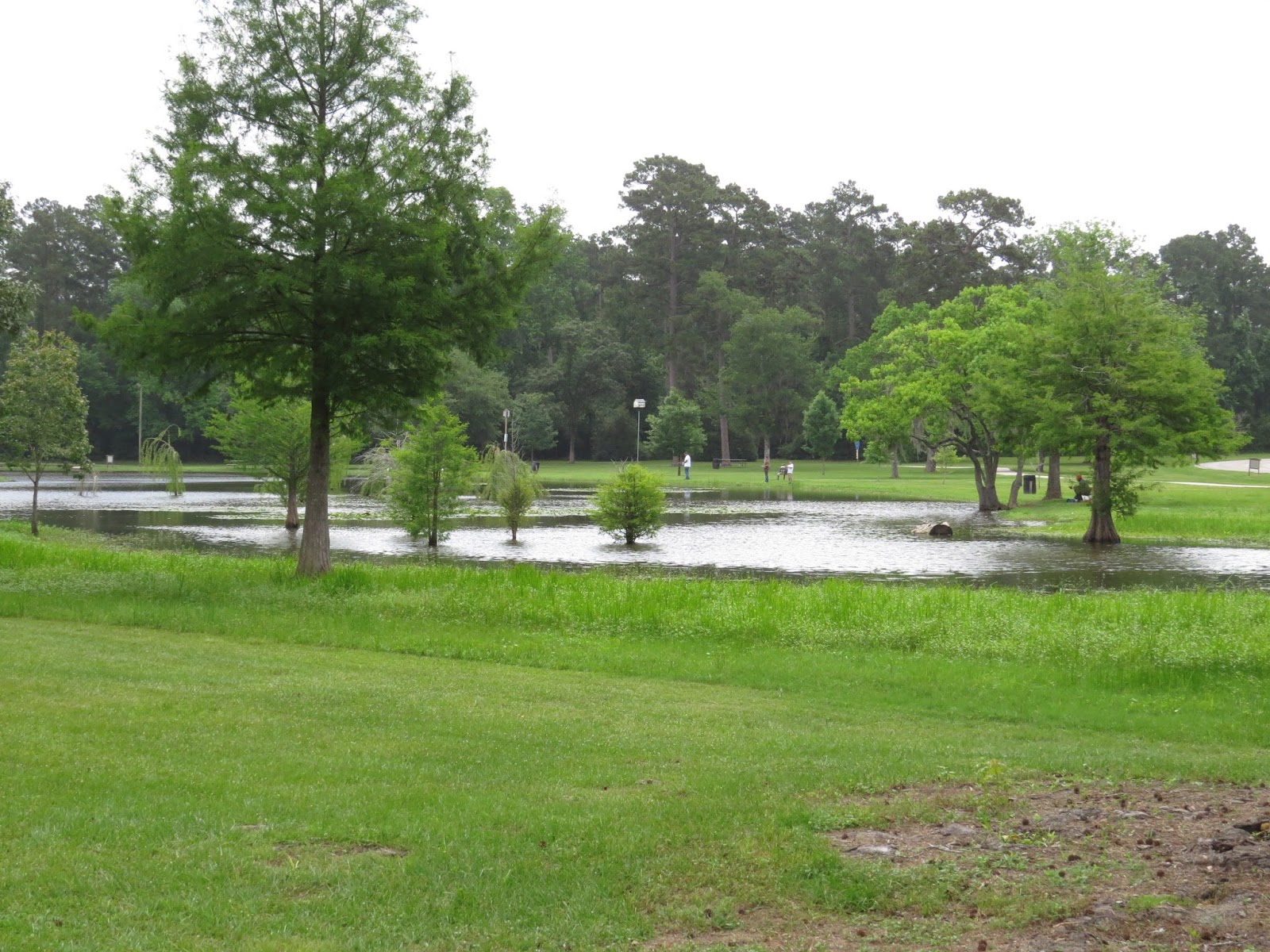 Where To Fish In Houston??: # 131 Burroughs Park Tomball