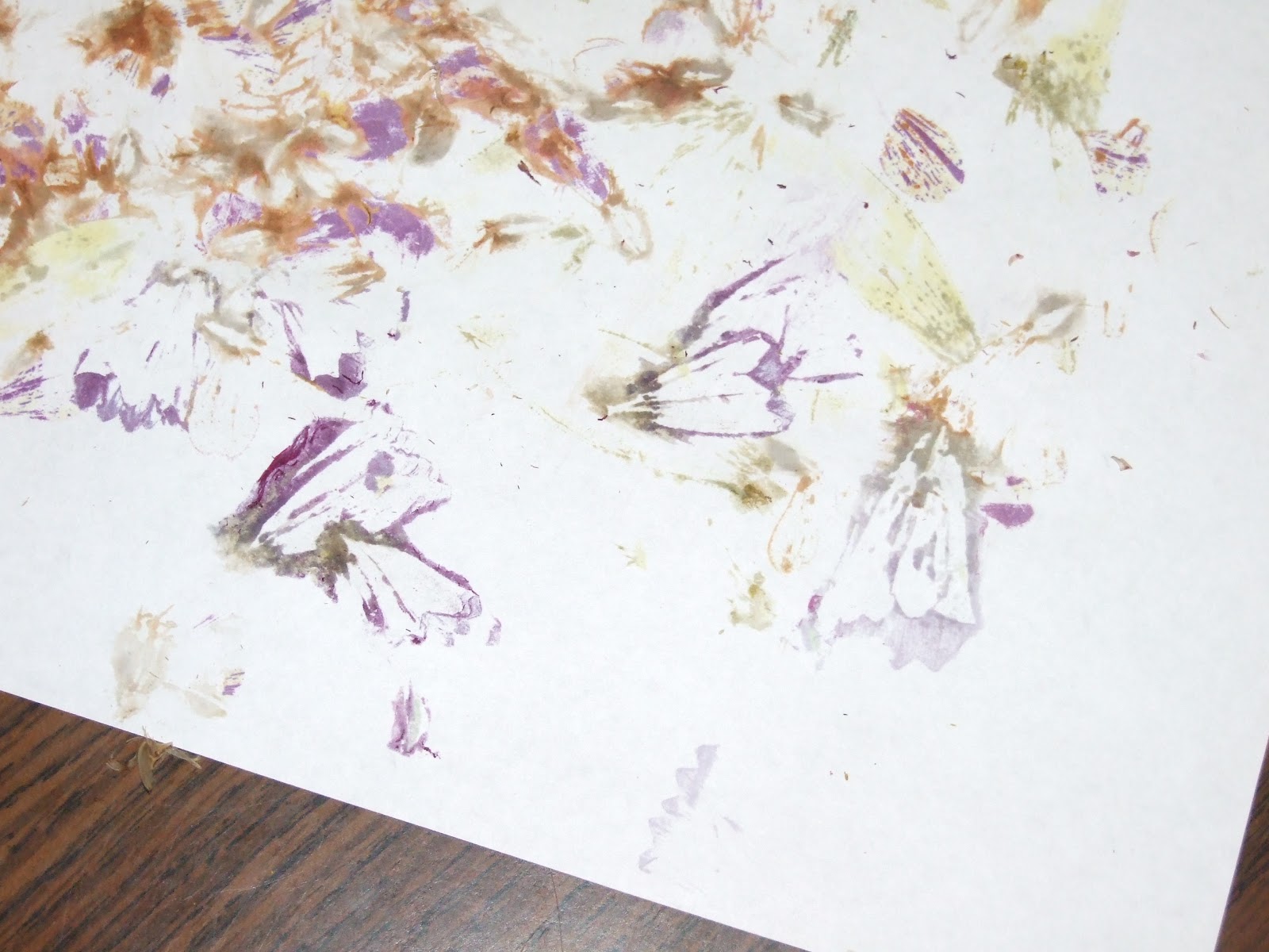 Blissful Moments: Flower Smashing Science