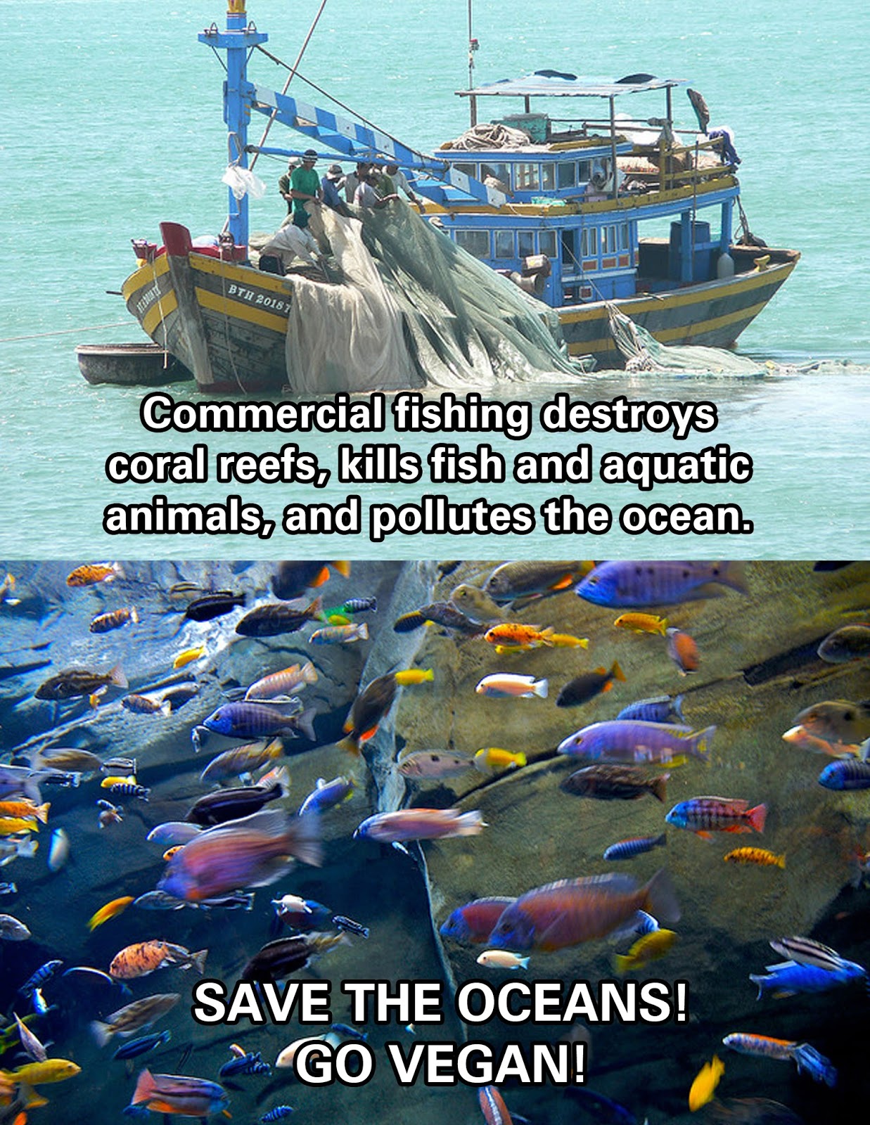 Joy of Vegan: ENVIRONMENTAL MEMES TO SHARE