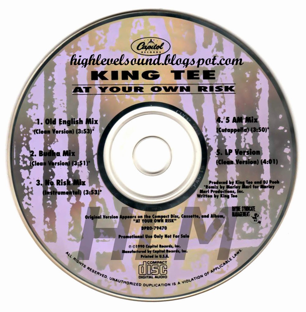 highest level of music: King Tee - At Your Own Risk-(Promo_CDM)-1990-hlm