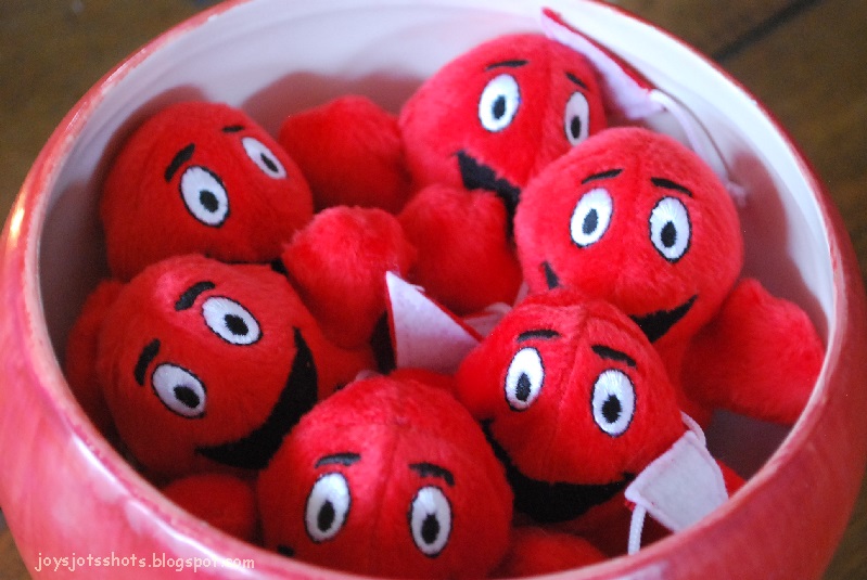 Joy's Jots, Shots & Whatnots: Wordless Wednesday #195 ~ A WKU Gift