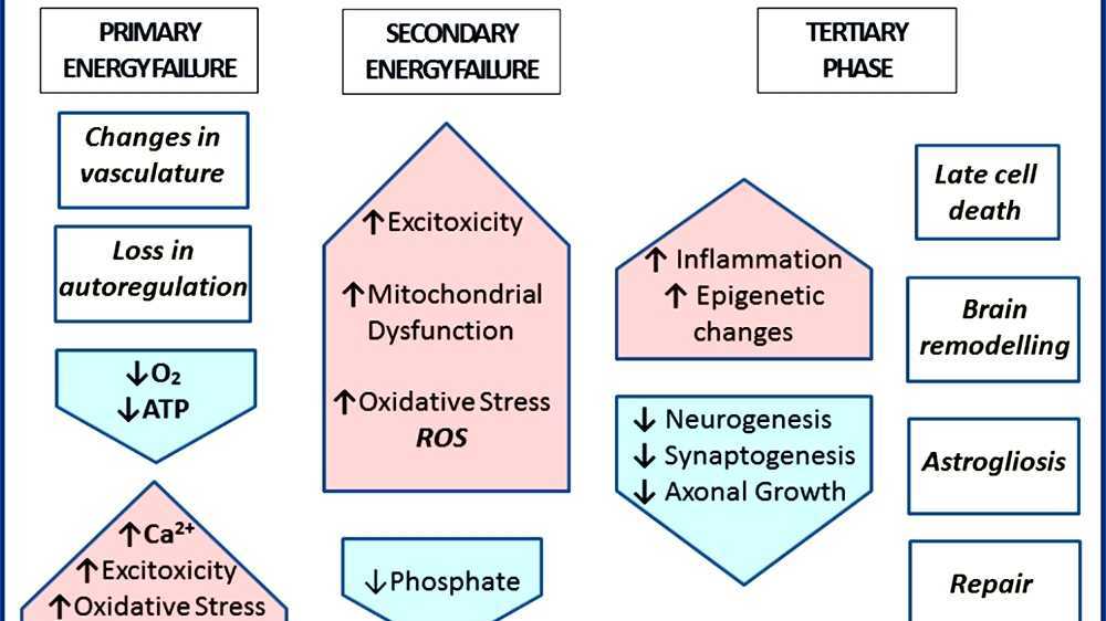 Neonatal encephalopathy