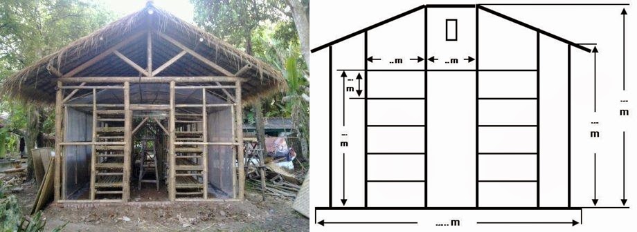 CARA BUDIDAYA JAMUR MERANG DI PERKOTAAN DENGAN MEDIA KARDUS - GEMA ...