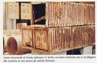 Η ιστορική εξέλιξη της κυψέλης: Σύμφωνα με τις εργασίες του Friedrich ...