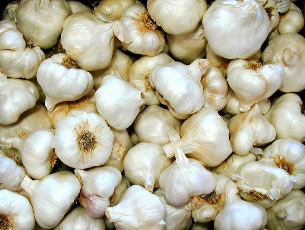 GARLIC And Other Members Of The Onion Family Good Daily Diet GARLIC And Other Members Of The Onion Family Good Daily Diet