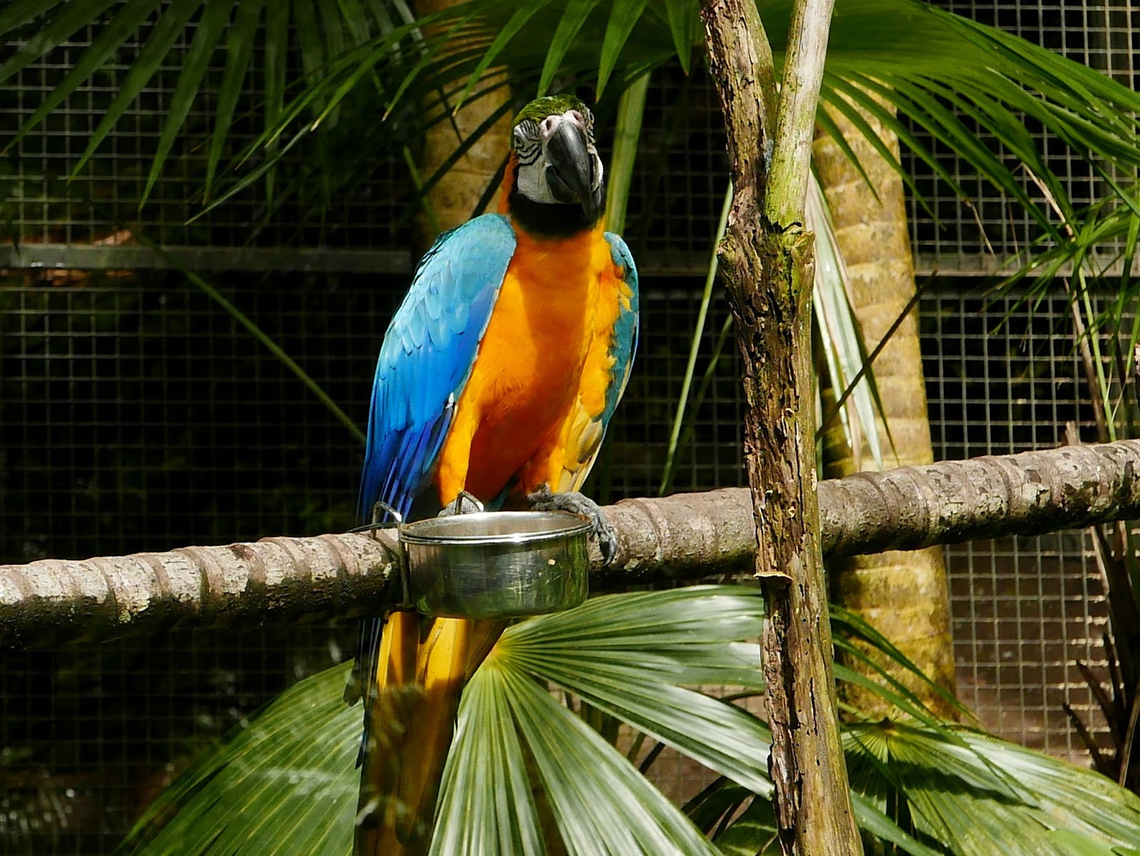 A bord de THIRA: Du samedi 10 décembre au mercredi 14 décembre 2016 ...