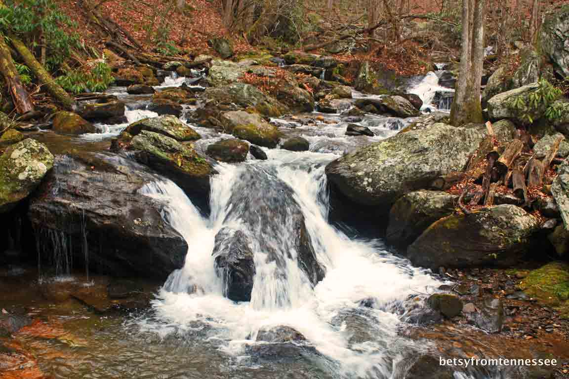 JOYFUL REFLECTIONS: Anna Ruby Falls, Georgia