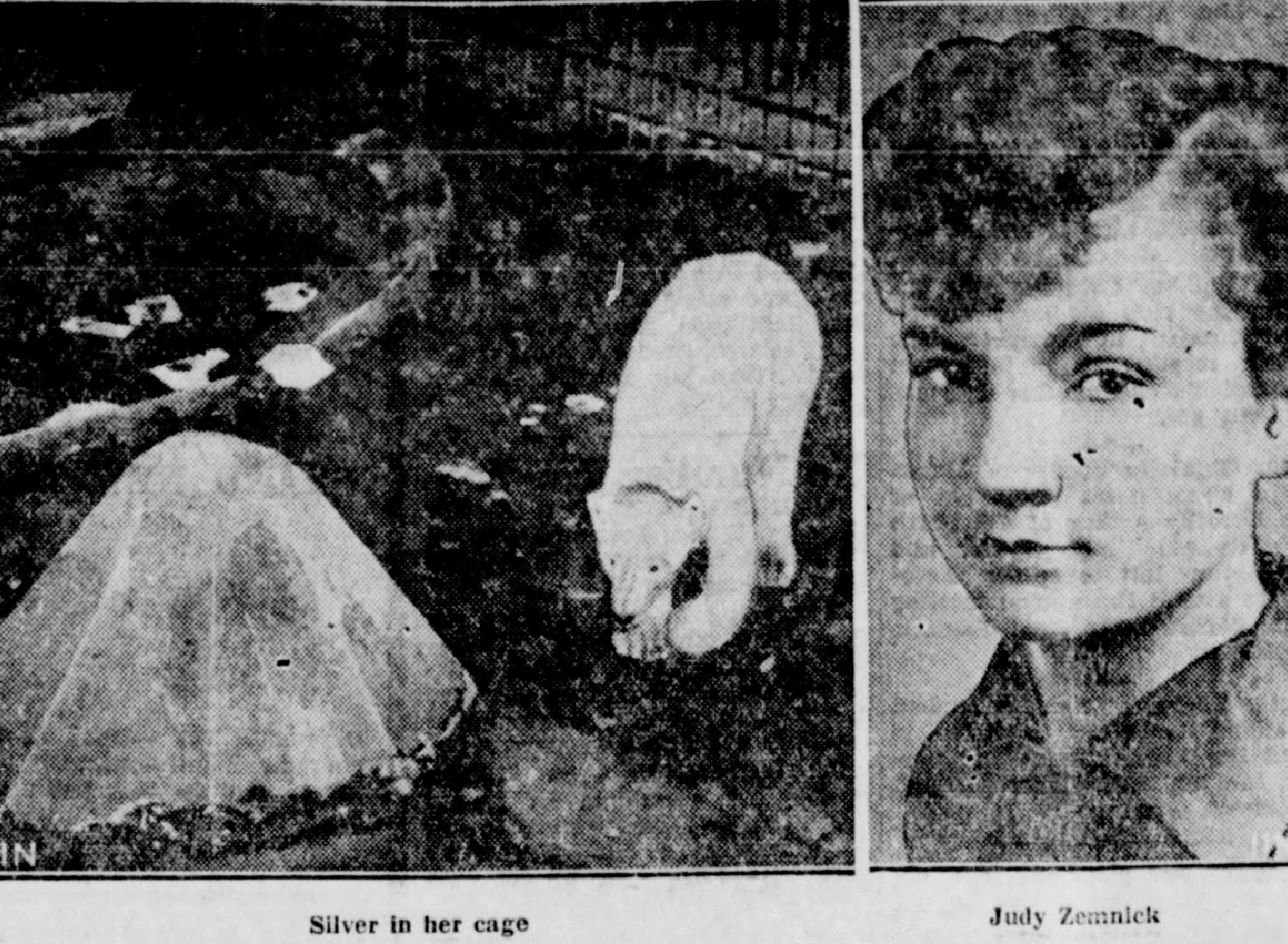 New Deal of the Day: Judy Zemnick: The WPA artist who was attacked by a ...