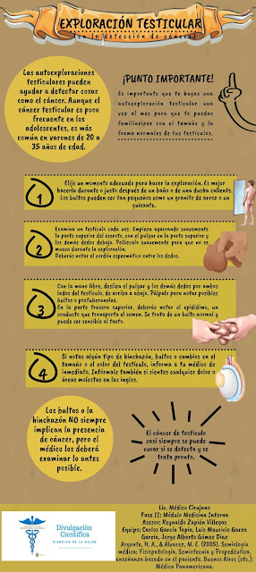 DivulgaciÓn CientÍfica Ug Testicular Examination
