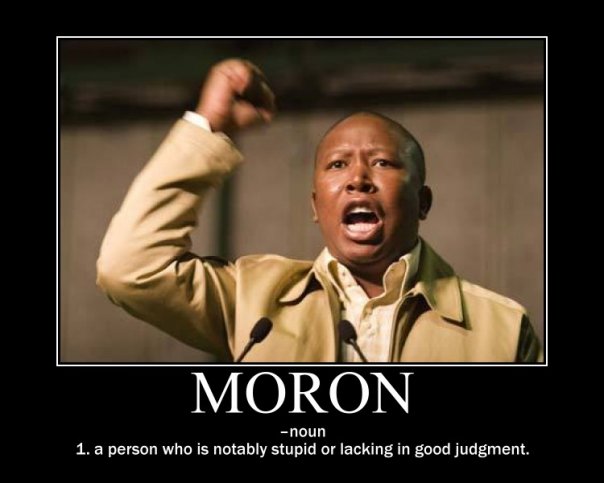 FUNNY MORONS | FUNNY INDIAN PICTURES GALLERY funnyindianpicz.blogspot.com