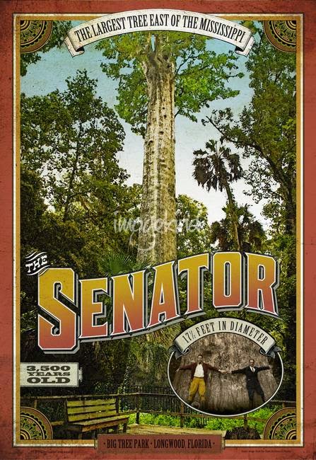 Old Florida: My Seven Wonders of Old Florida