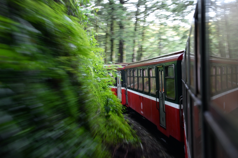 Endless Traveling Map: The Alishan Forest Railway, Taiwan