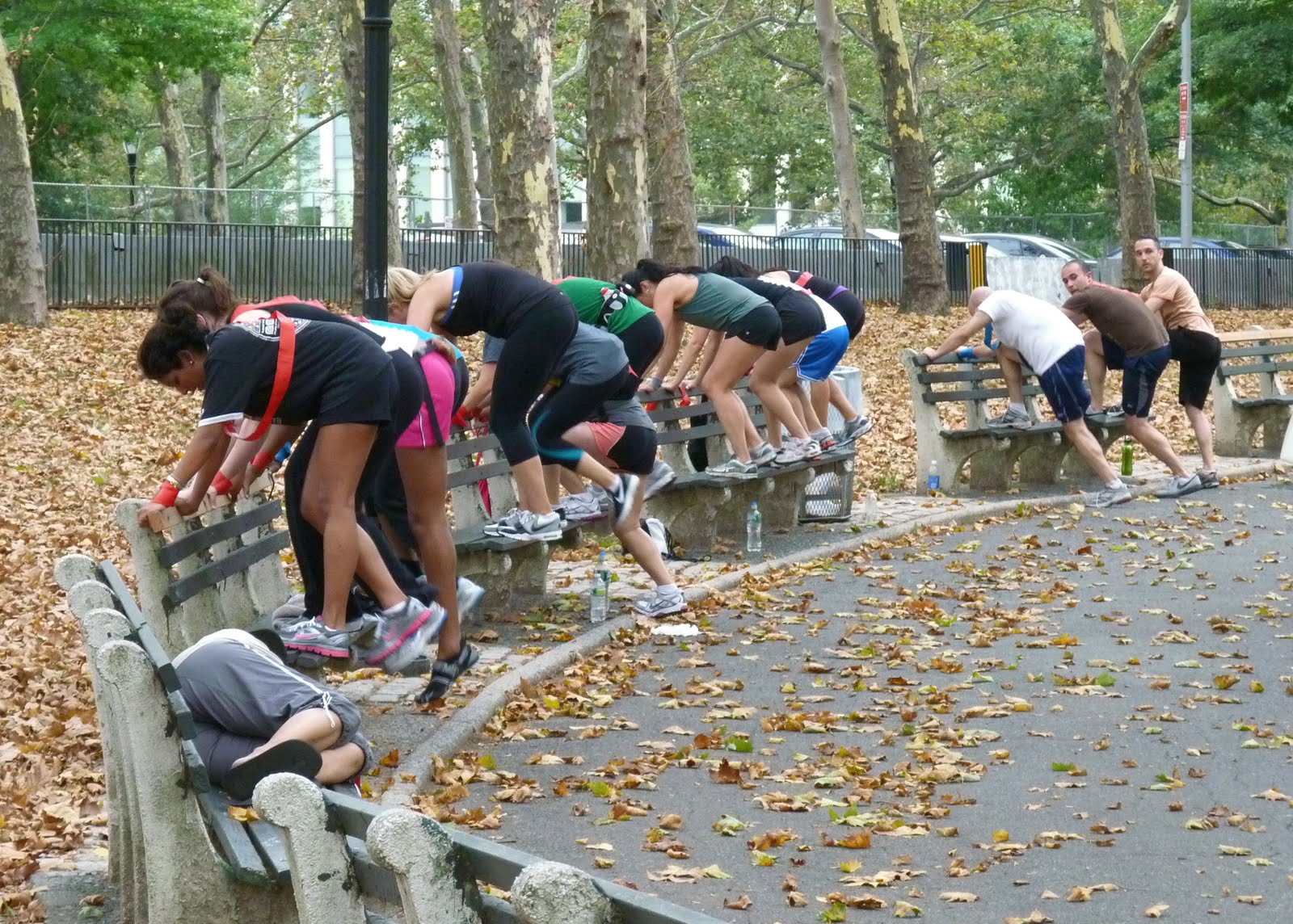 mcbrooklyn: Eeek! Needle-Toothed Snorgal Spotted in Cadman Plaza Park ...