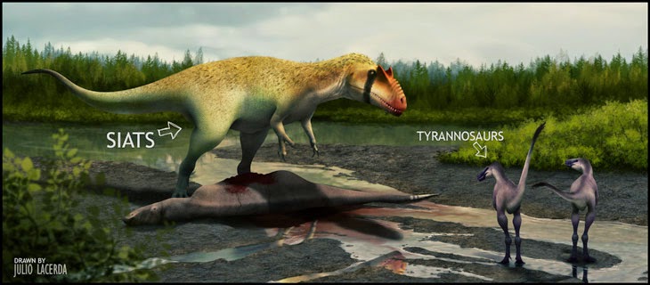 Great Expectations and Discoveries: Siats meekerorum WAS BIGGER THAN ...