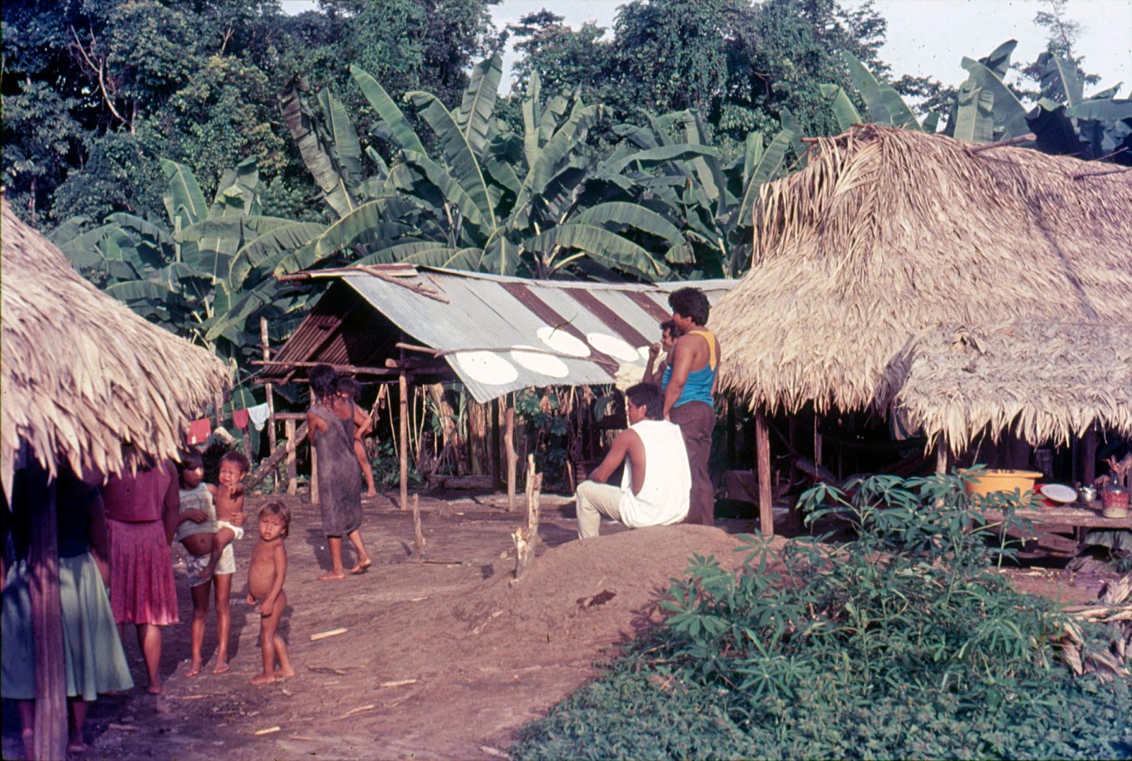 ANTROPOLOGÍA EN EL LABERINTO: Cultura Ye´kuana