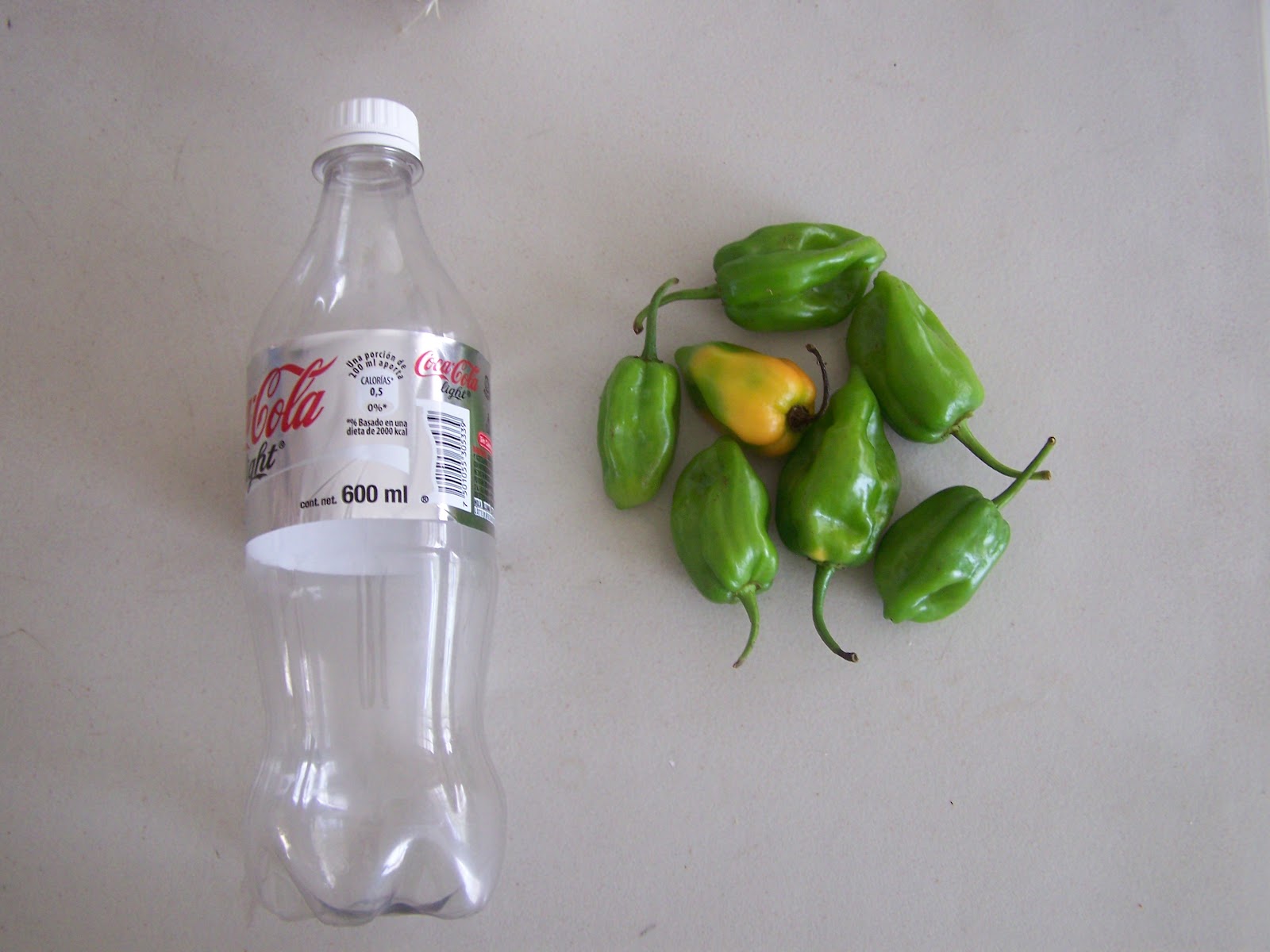 gora mexiko akerrak!!: LA CHUCHA QUE LO PARIÓ!!!!!