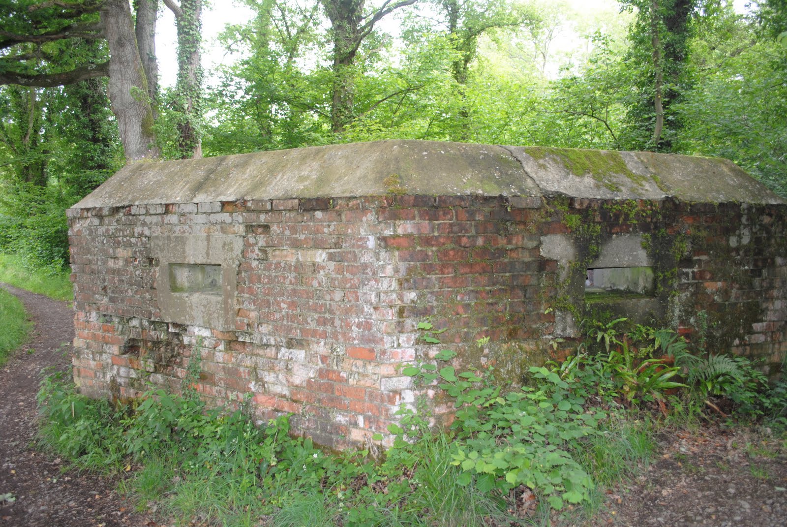 Walksalot: Barley mow bridge to Crookham Wharf - basingstoke canal walk ...