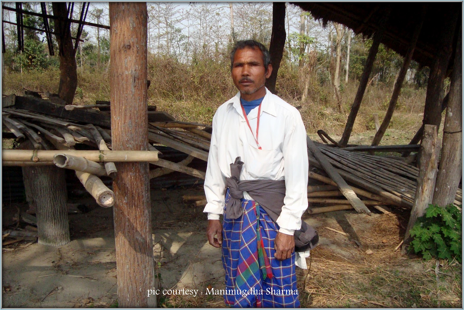 my room: Assam's Jadav Payeng : The Man Who Made A Forest