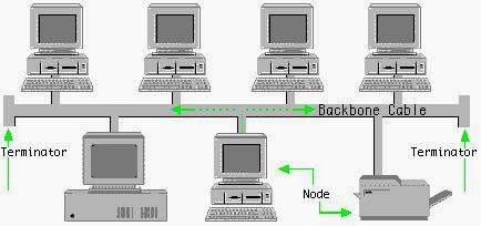 Nidia Esparza - Computación 8: REDES