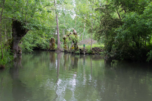 Voyages, photos et plus: La Venise Verte