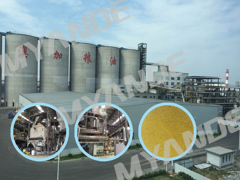Myande-Integrated Solutions Supplier for Oils and Fats Processing: How ...