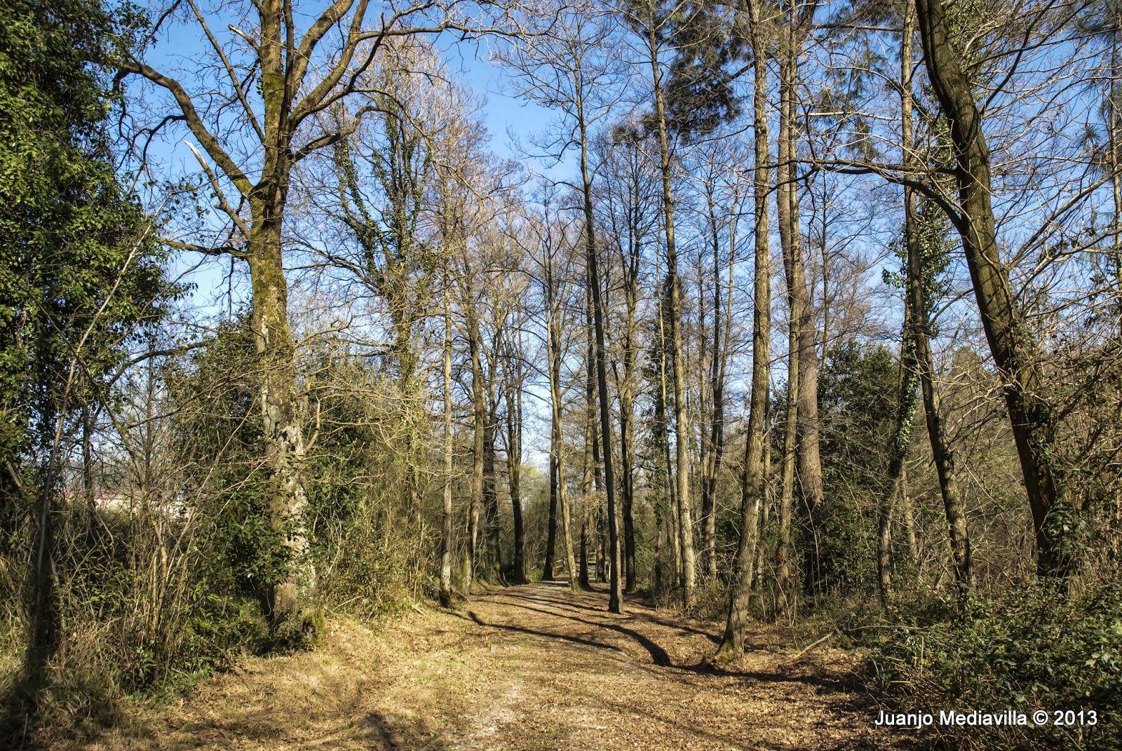Fotografía Juanjo Mediavilla: Zamudio (Bizkaia)