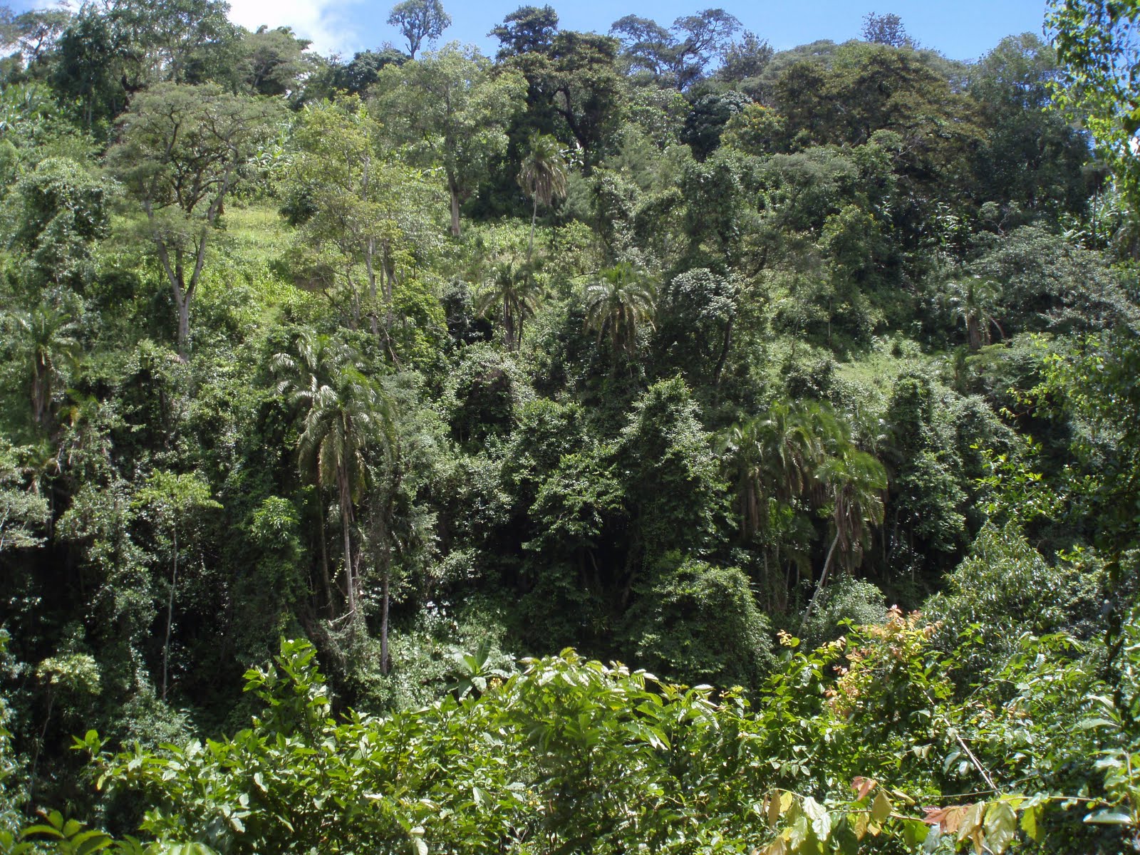 Tanzania