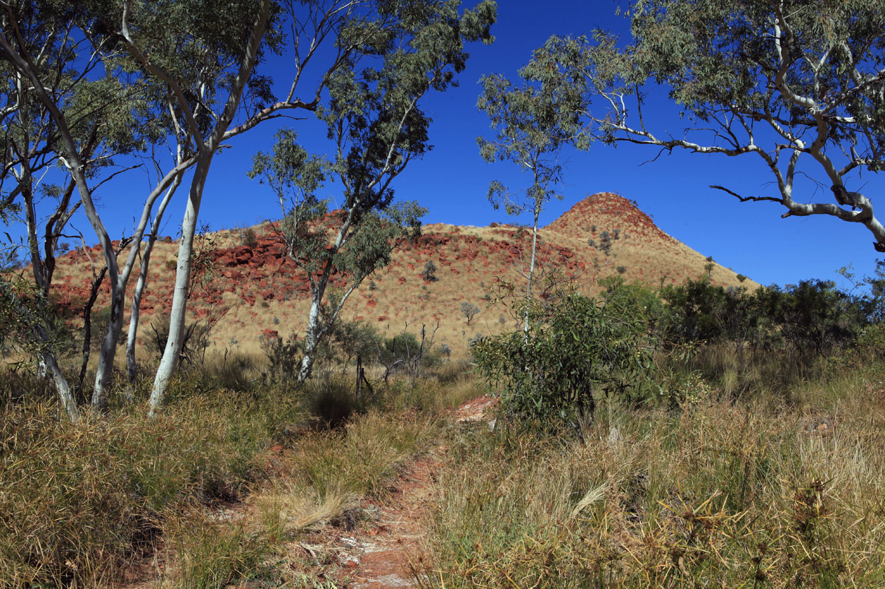 Woven in the Land: July 2012