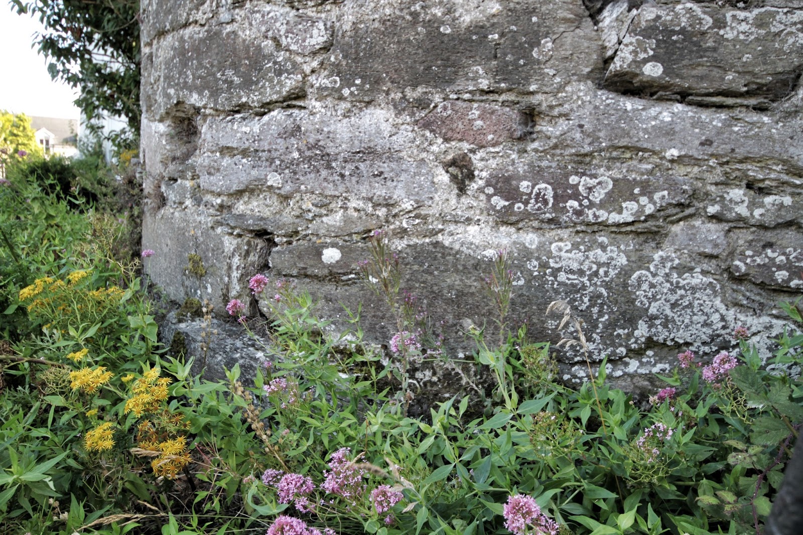 Historic Sites of Ireland: Cloyne Round Tower