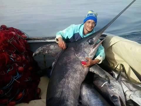 POISSONS DES CÔTES ALGÉRIENNES: L'ESPADON :PHOTO : POISSONS COLLO