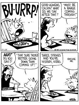 Boots n Burbs: TOON: Calvin and Hobbes