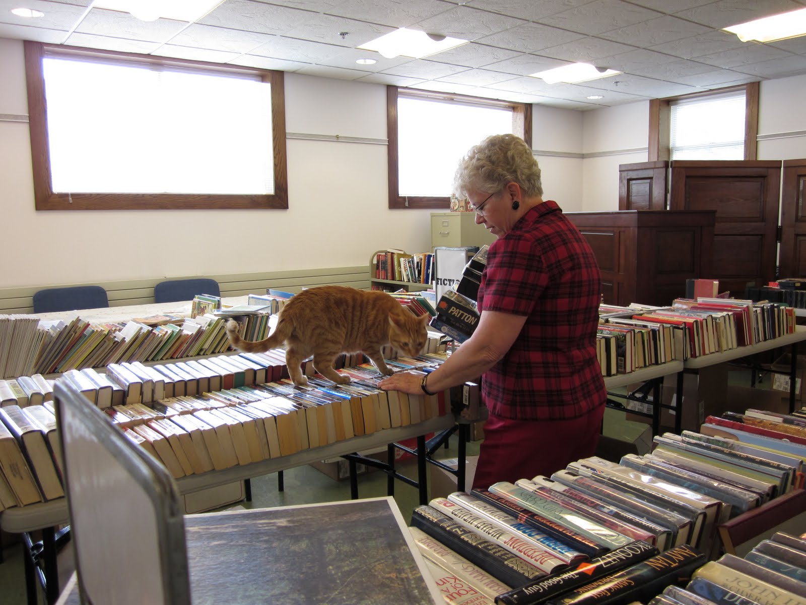 The Adventures of Chance, the Thorntown Library Cat: Book Sale! Take 2