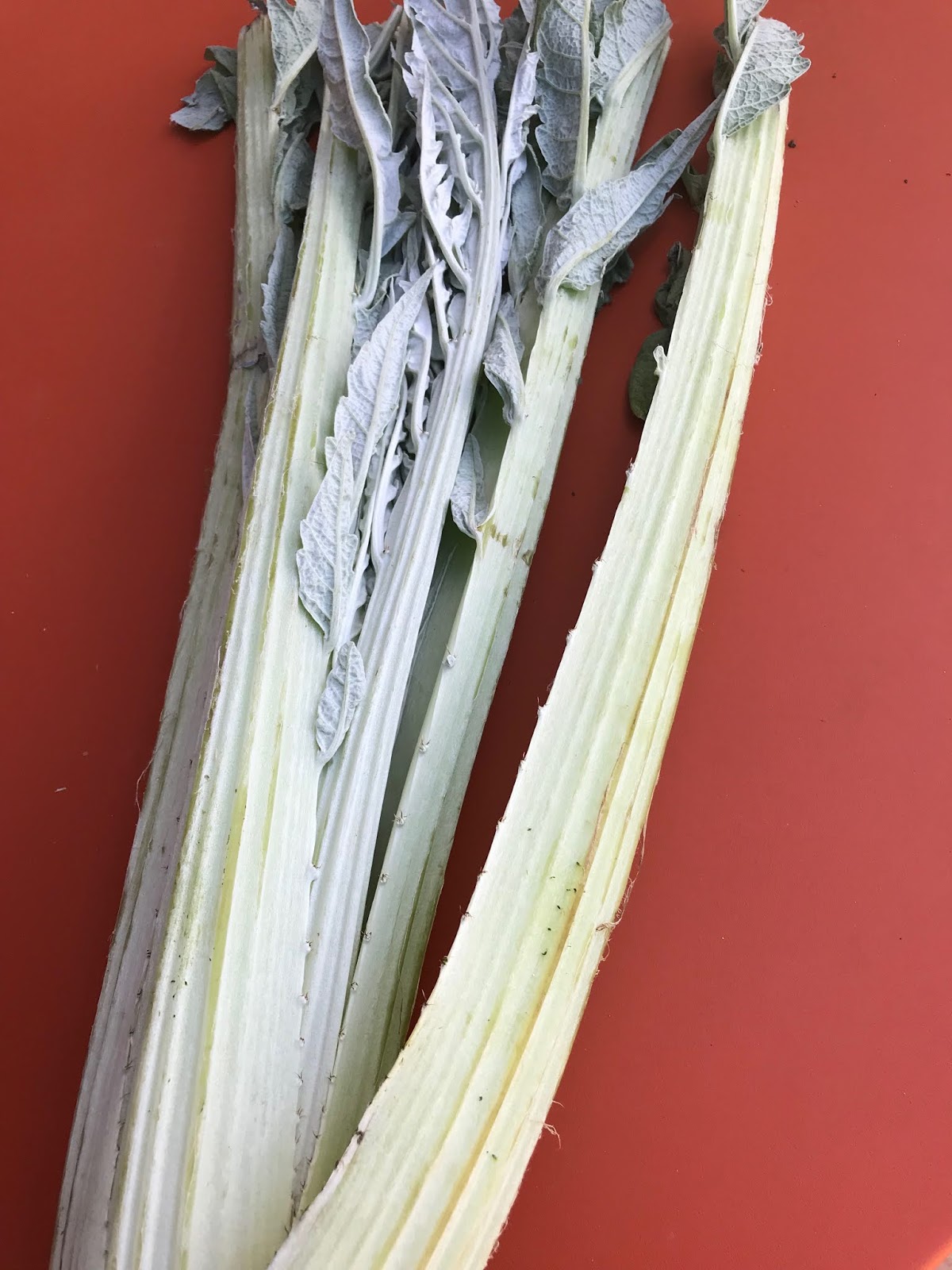 Saveur Indigo...: Cardons à la moelle